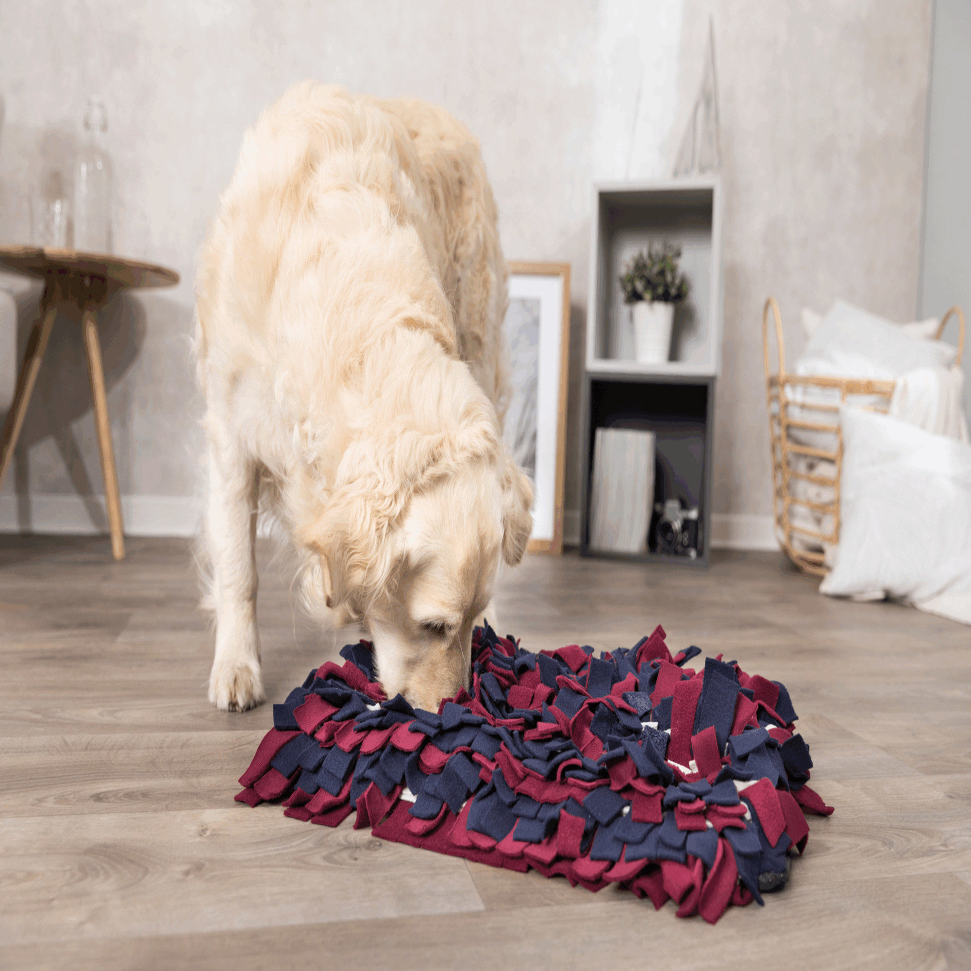 TRIXIE Snuffle Mat for Dogs Level 1 Enrichment Puzzle for Dogs ...