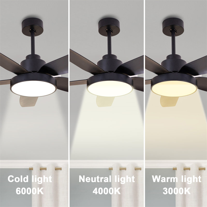 Ebern Designs 46 Inch Ceiling Fan With LED Lights | Wayfair