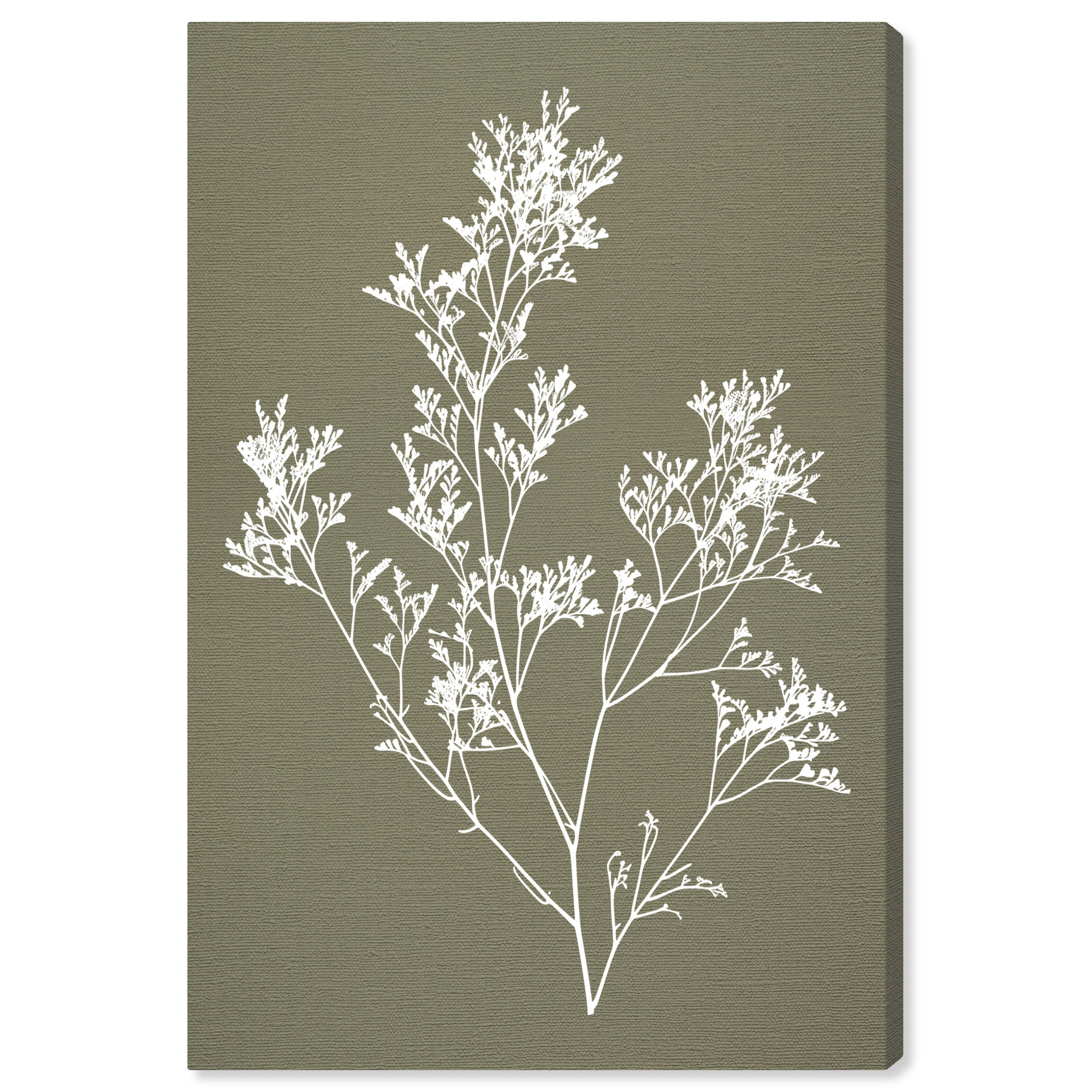 Art Remedy Timeless Leaf I Botanical Wall Art by Art Remedy | Wayfair