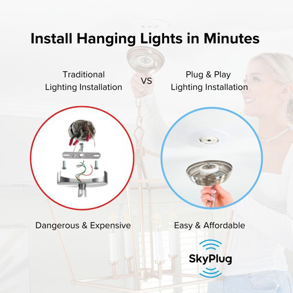 SKYX Platforms SkyPlug Installation Solution - Carina & Reviews | Wayfair