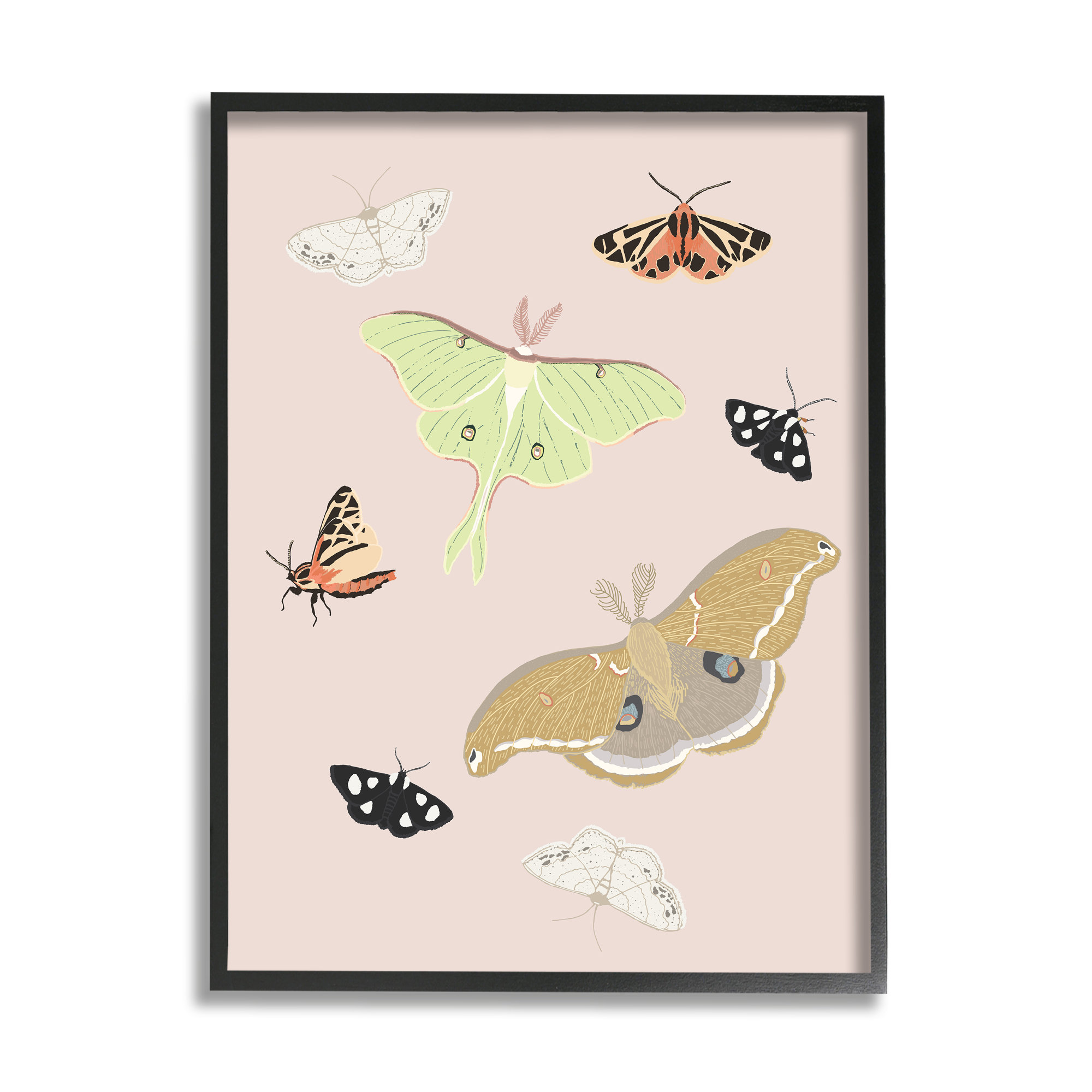 Stupell Industries Moths And Butterflies On Wood by Sweet Melody ...