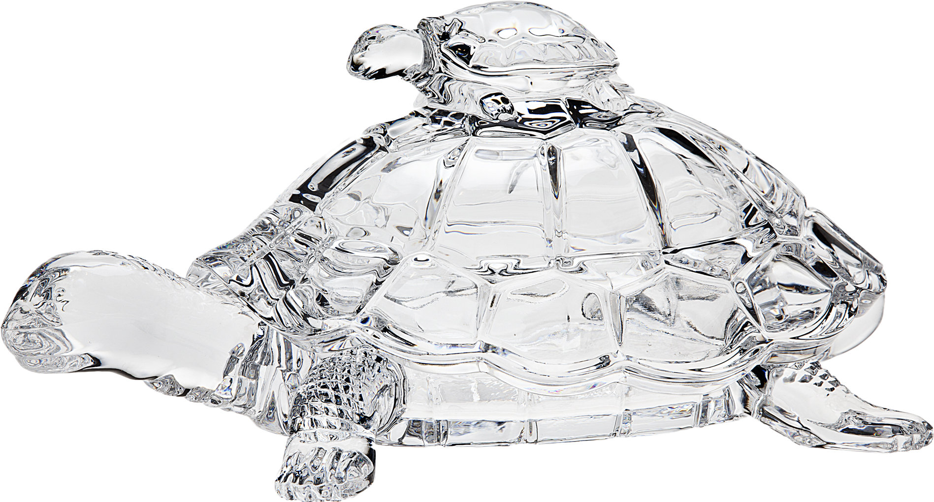 Godinger Silver Art Co Turtle Family Crystal Box & Reviews | Wayfair