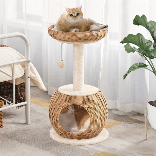 Archie & Oscar Paton 75cm H Cat Tree | Wayfair.co.uk