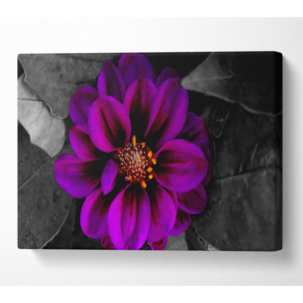 Latitude Run Fall Flower - Wrapped Canvas Art Prints | Wayfair.co.uk