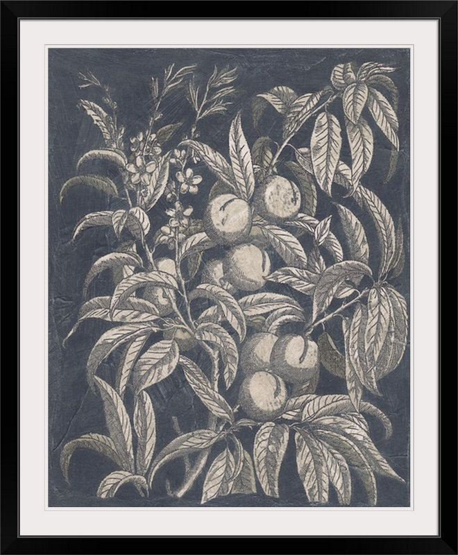 August Grove 'Vintage Fruit and Floral II' Megan Meagher Painting Print ...