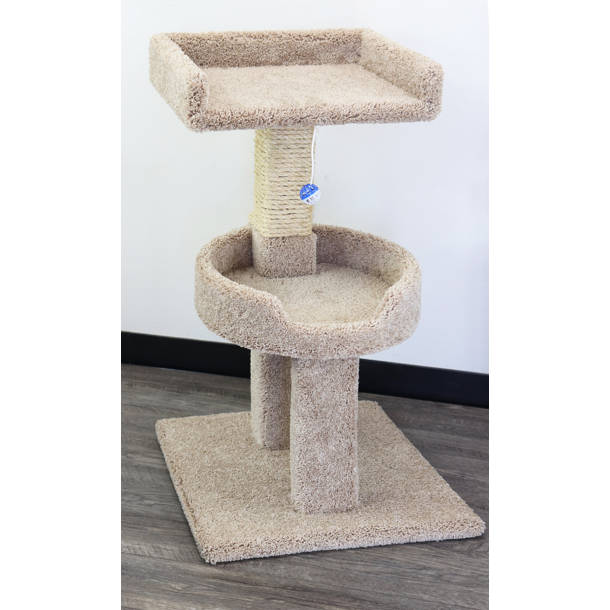 New Cat Condos Spacious Cat Perch for Large Cats & Reviews | Wayfair