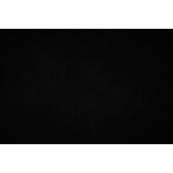 Archie & Oscar Chaplin Dog Sofa | Wayfair.co.uk