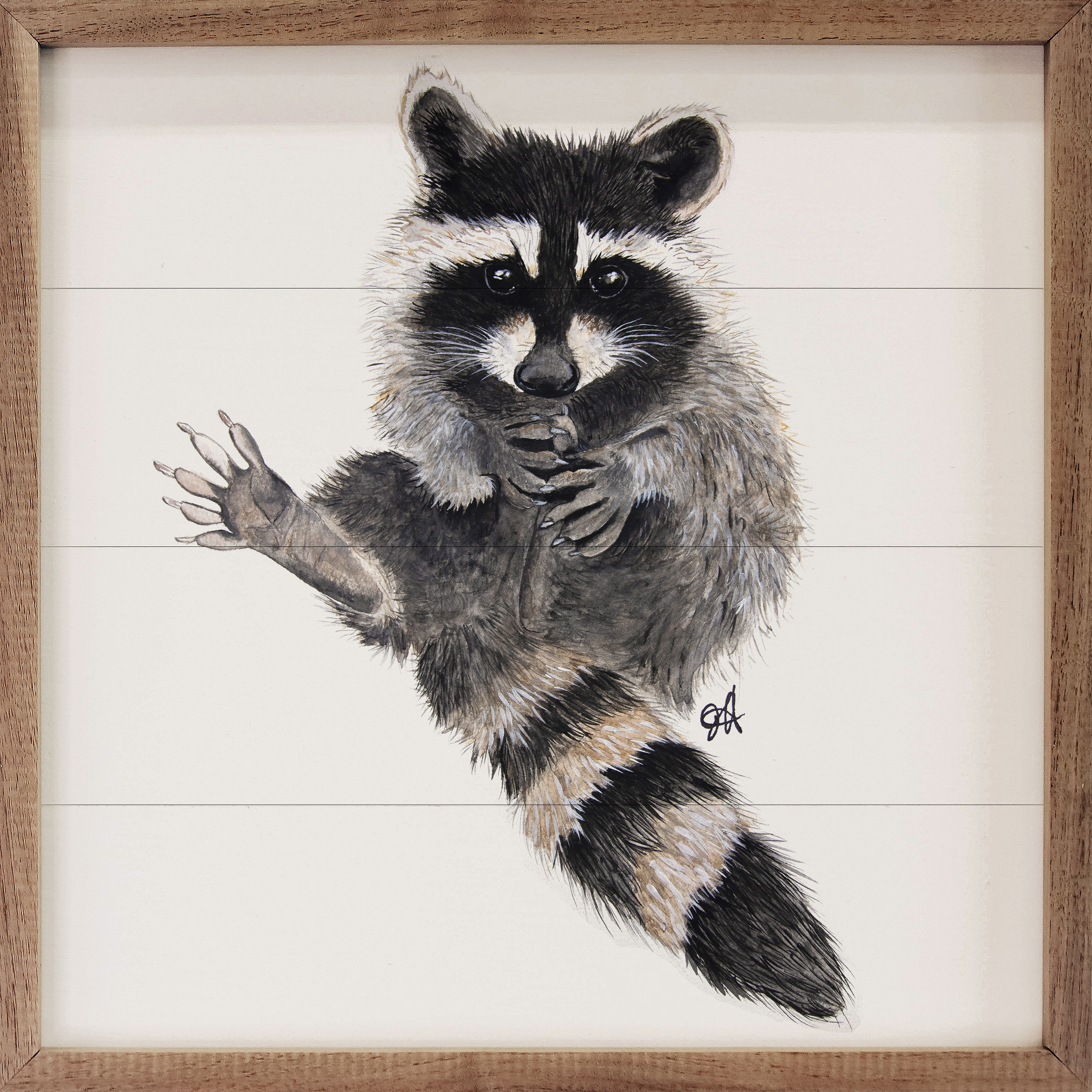 Millwood Pines Kit The Raccoon Square By Jodi Hatfield - Wayfair Canada
