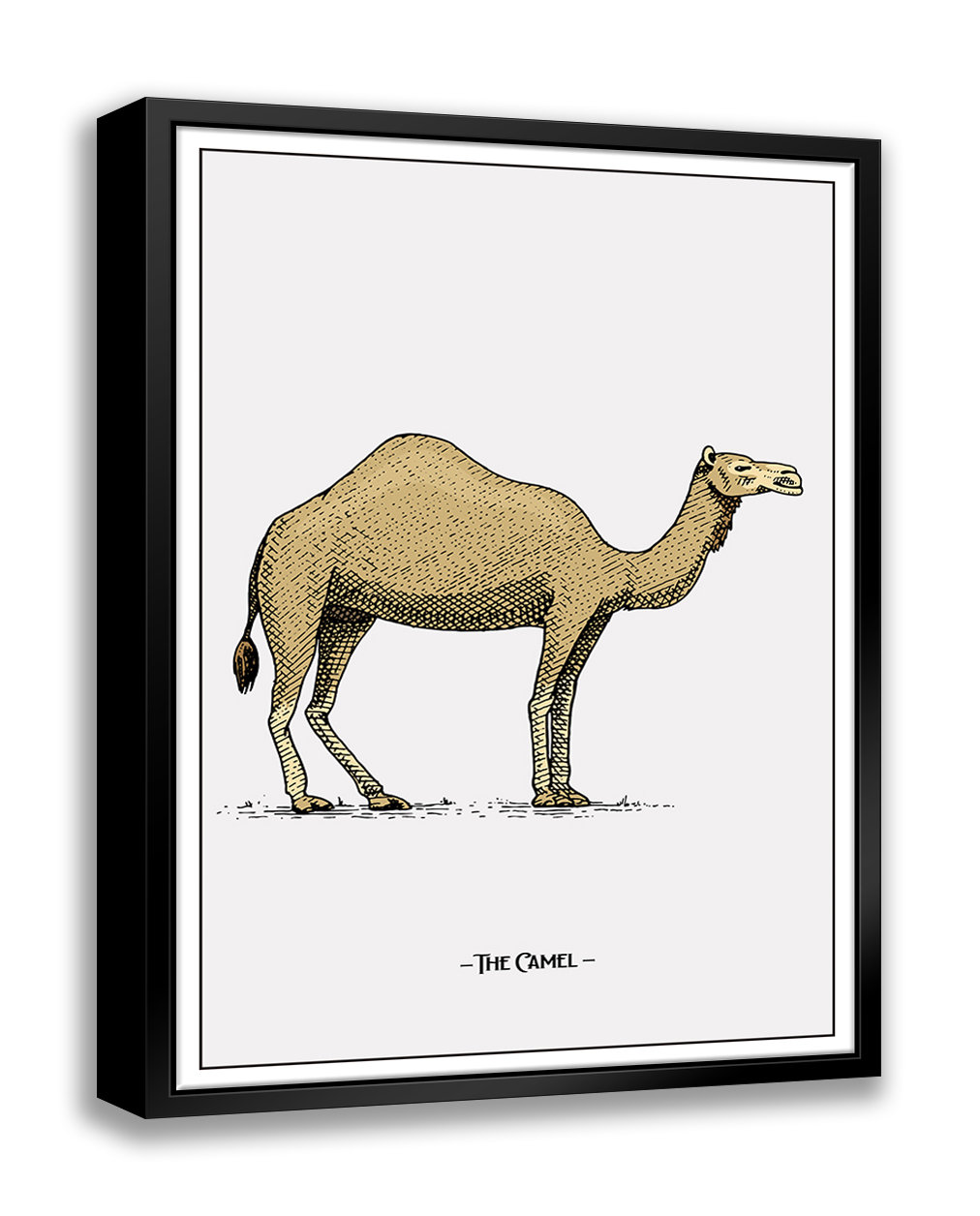 ATX Art Group LLC The Camel-Giclee On Canvas With Float Frame ...