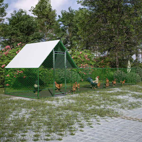 Archie & Oscar™ 26'Lx6.7'Wx6.6' Ft Large Metal Chicken Coop, Walk-In ...