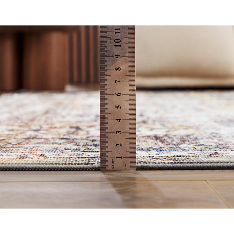 Bungalow Rose Aarusan Machine Washable Oriental Brown/Rust Area Rug ...