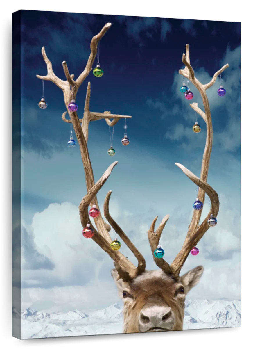 Ebern Designs Brampt Reindeer Ready For Christmas | Wayfair