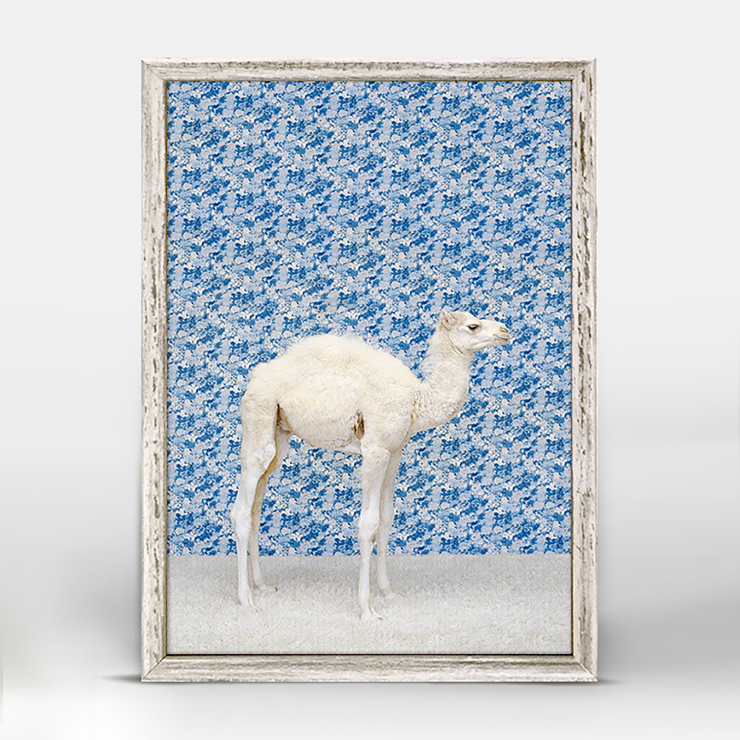 Latitude Run® 'Camel On Blue' Framed Photographic Print on Canvas ...