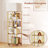 Latitude Run® Modern Minimalist 4-tier Floor Lamp Bookcase With 360 ...