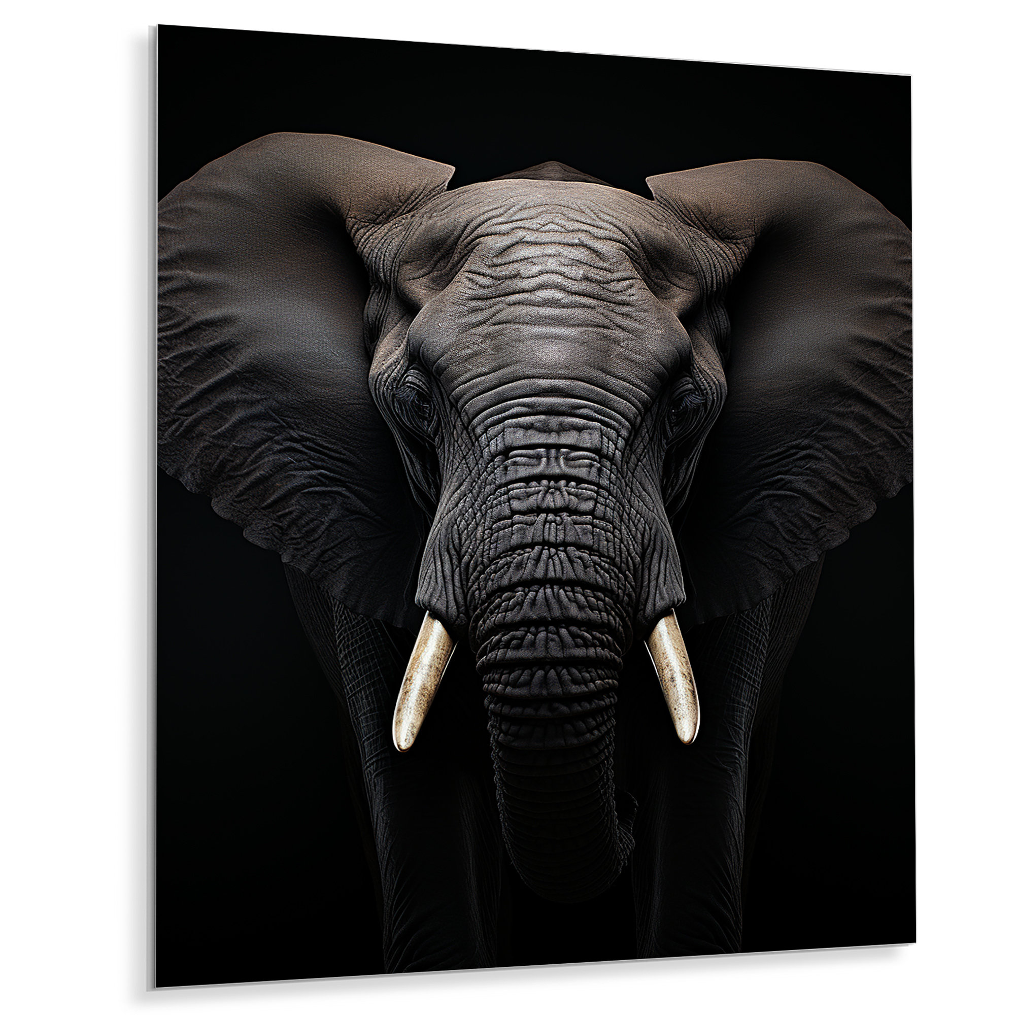 Ebern Designs Éléphant noir et blanc Étreinte de la force V ...