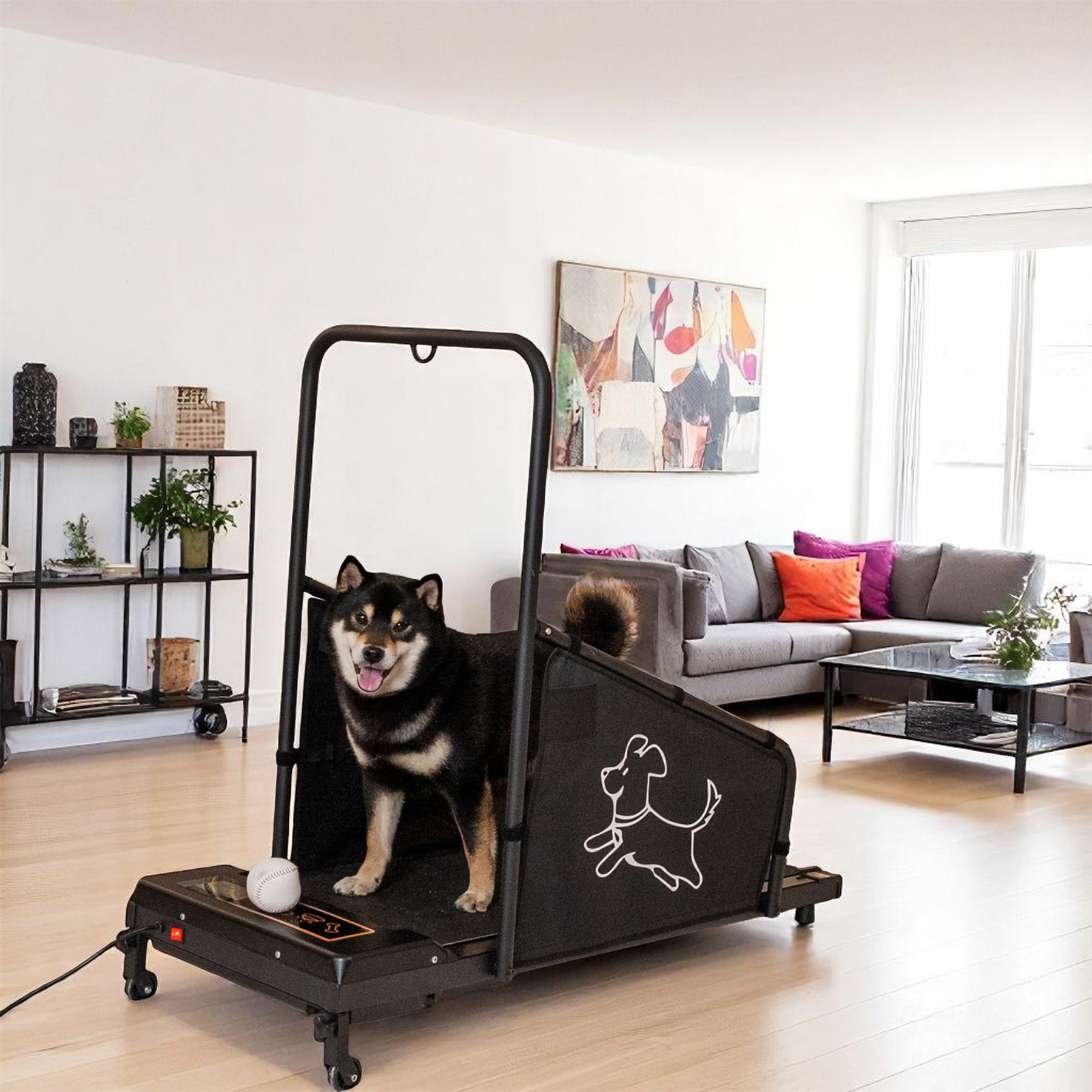 IchbinGo Dog Treadmill Run Walk for Medium Small Dogs, Pets Pacer ...