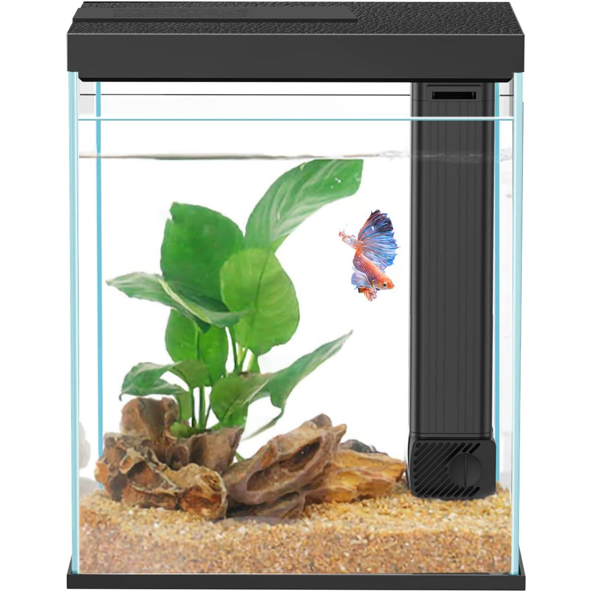 Tucker Murphy Pet™ Betta Fish Tank, 2 Gallon Glass Aquarium Starter Kit ...