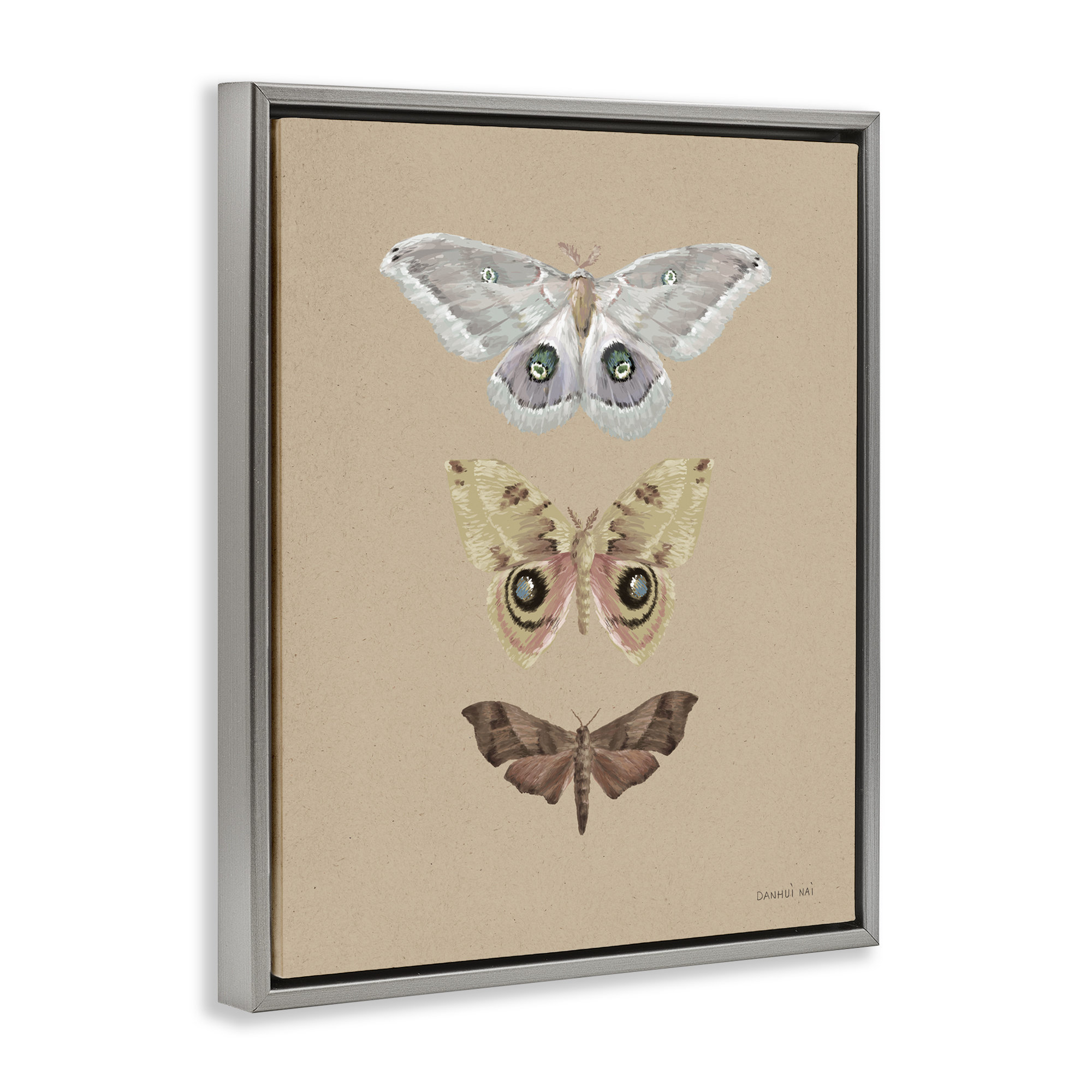 Wildon Home® Beauty Of Forest Moths Floating Frame, design by Danhui ...