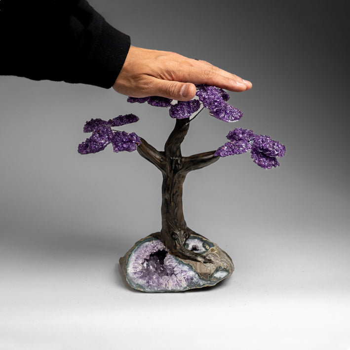 Astro Gallery of Gems Custom - Genuine Amethyst Clustered Gemstone Tree ...