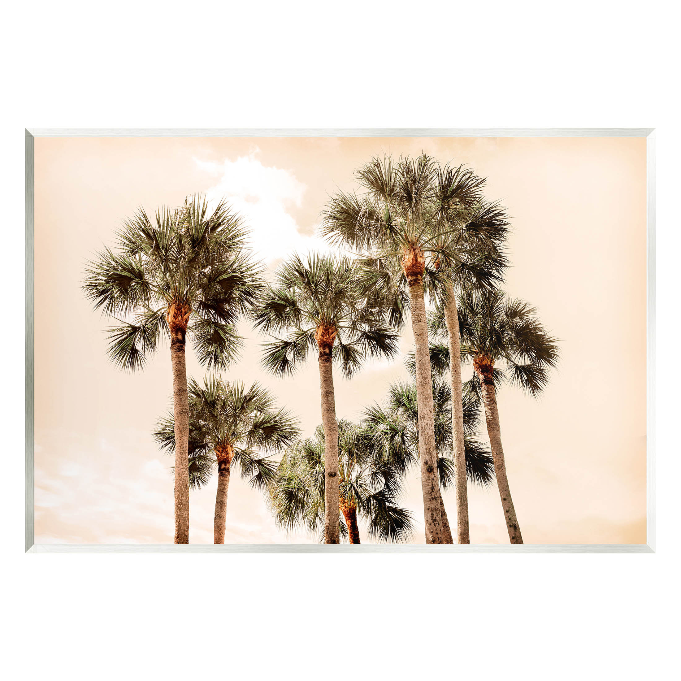 Stupell Industries Summer Palm Trees Sky Canvas Wall Art By Natalie ...