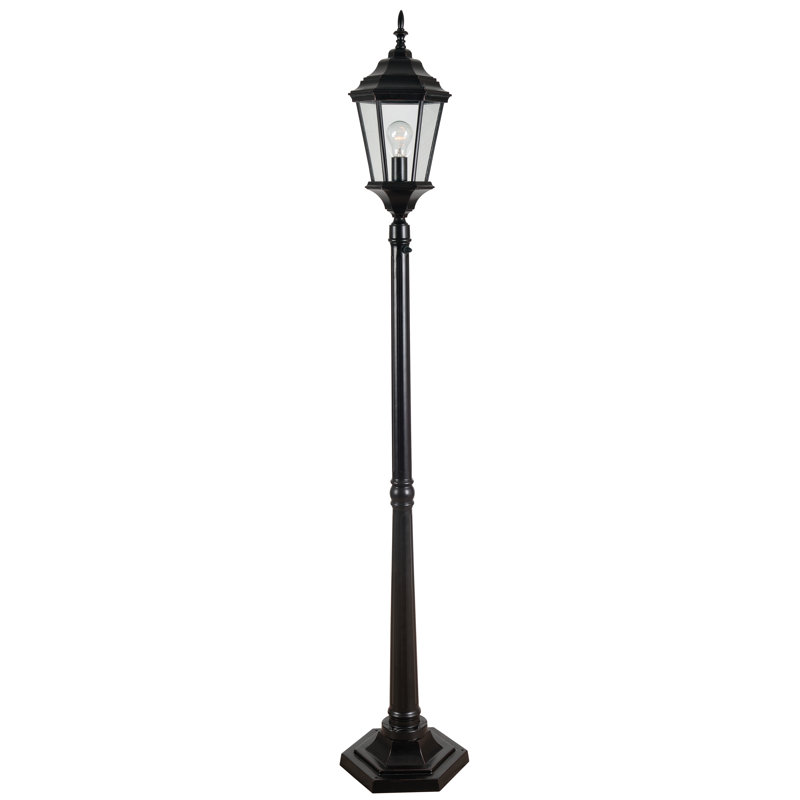 Alcott Hill® Balfour Falls Transparent Lamp Post (Full) & Reviews | Wayfair