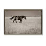 Latitude Run® Dashing Montana Stallion Floating Frame, design by ...