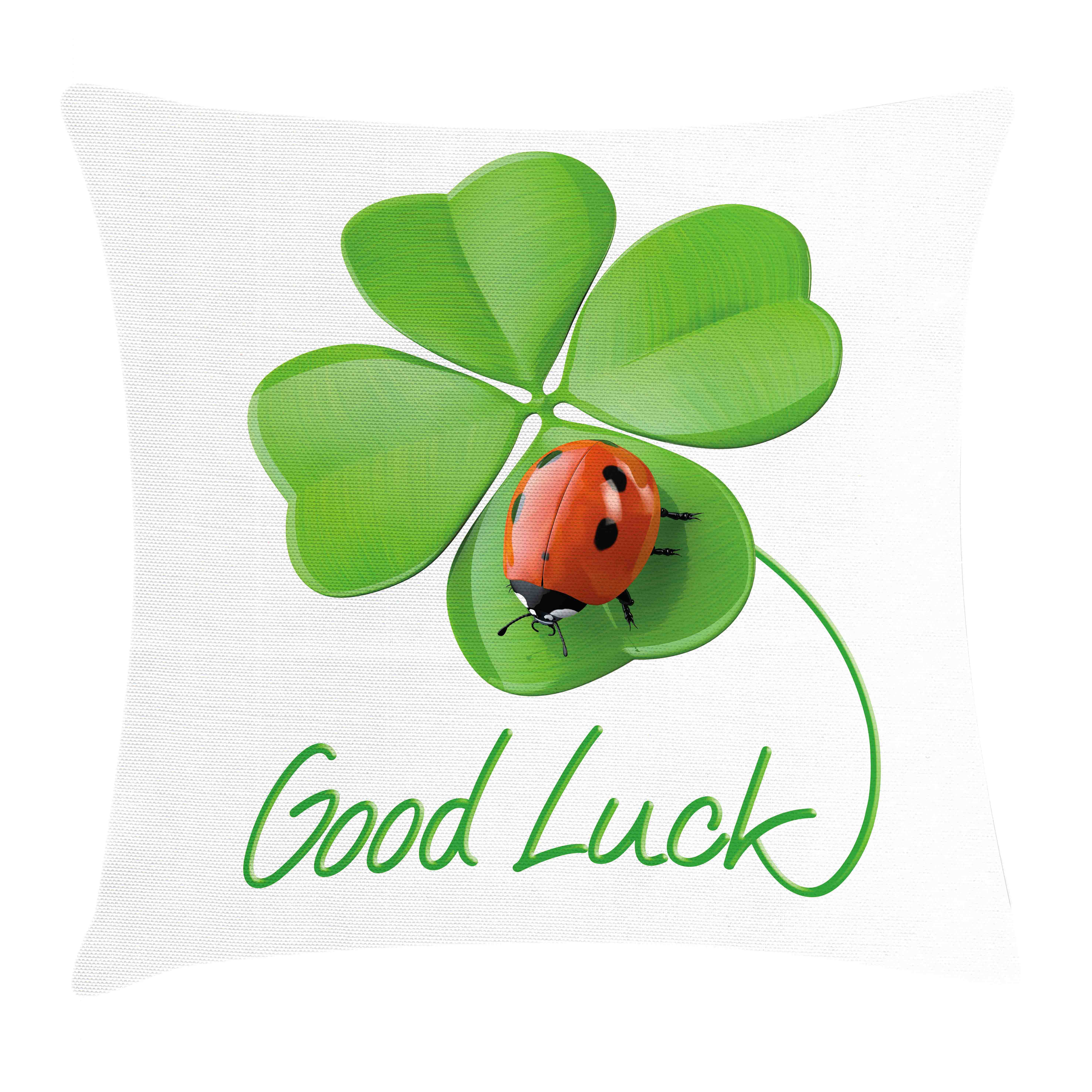 Ambesonne Irish Four Leaf Clover Ladybug Square Pillow Cover | Wayfair