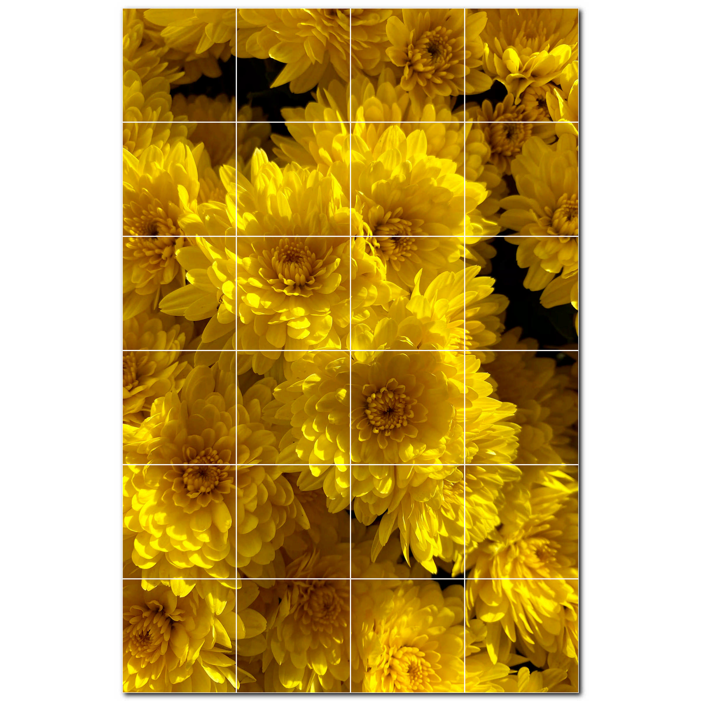 Picture-Tiles.com Flowers Photo 12'' x 12'' Satin Ceramic Decorative ...