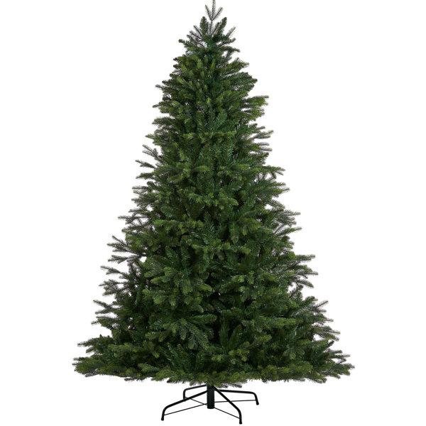 Mail Order Online Ltd Regent Pine Mixed Tip Christmas Tree, 8 ft – Full ...