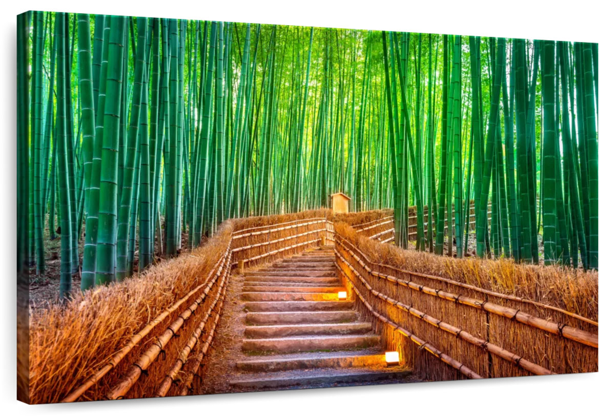 Bayou Breeze Bamboo Forest In Kyoto | Wayfair