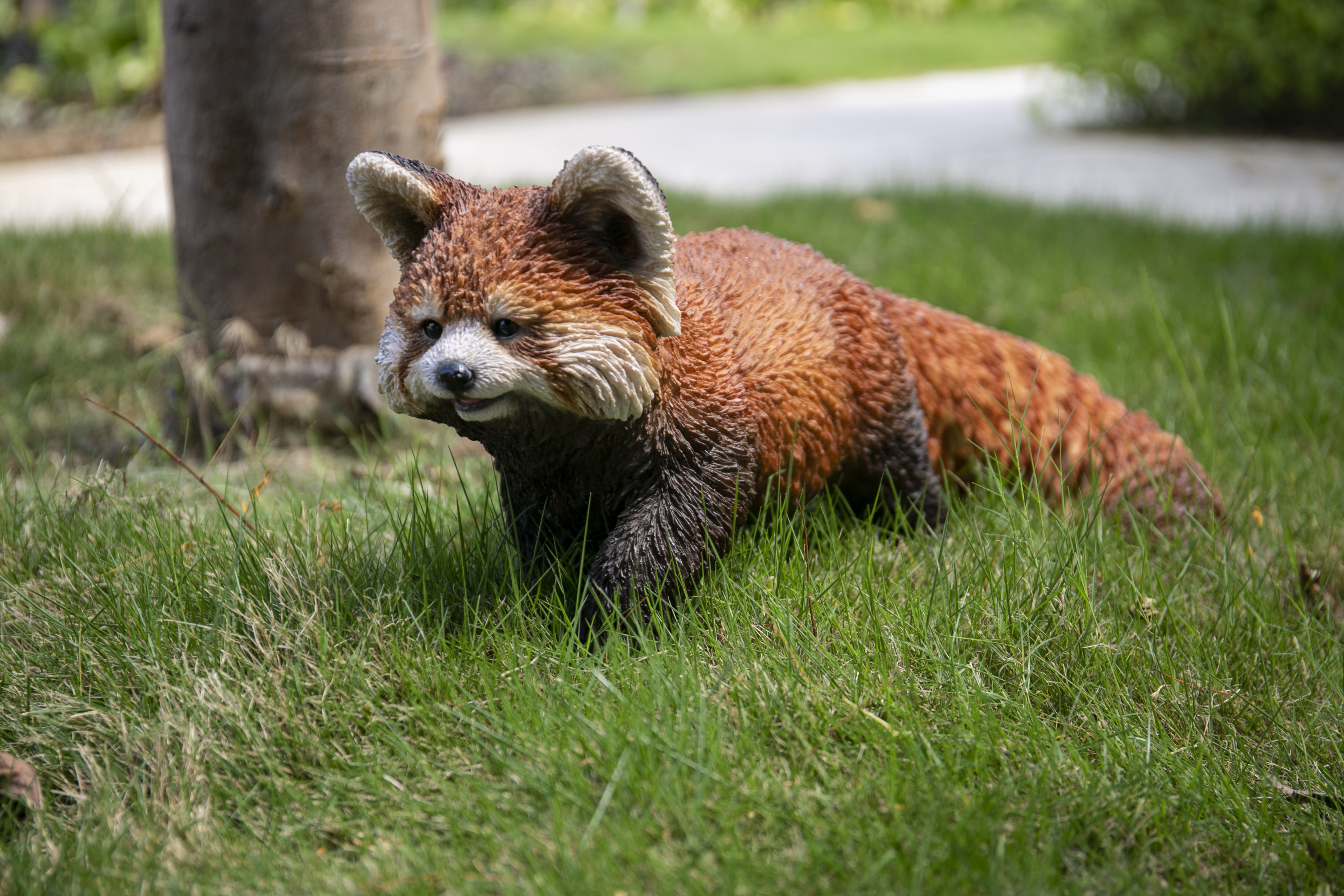 Hi-Line Gift Ltd. Red Panda Cub Walking | Wayfair