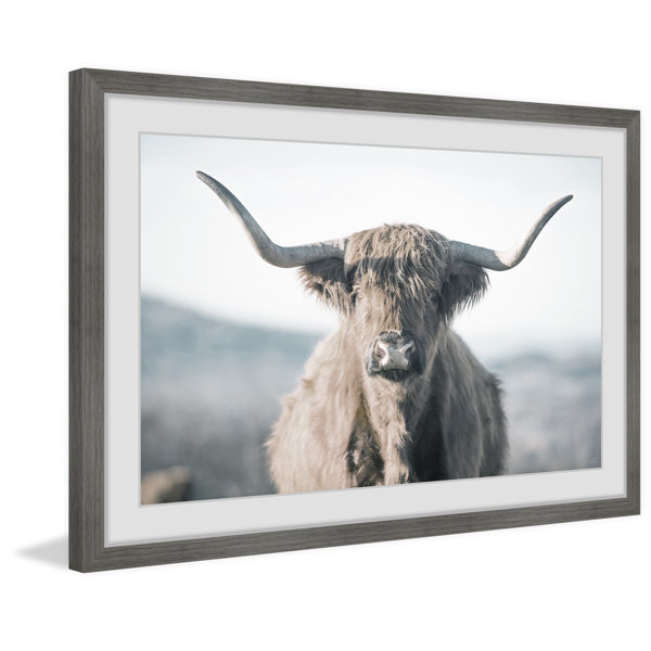 Gracie Oaks Highland Close-up - Print | Wayfair.co.uk
