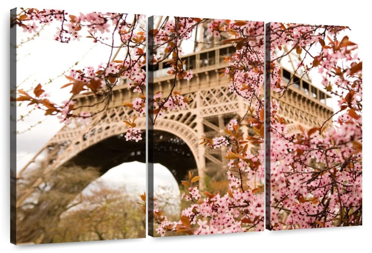 Ebern Designs Kavia Eiffel Tower Cherry Blossoms - Wayfair Canada