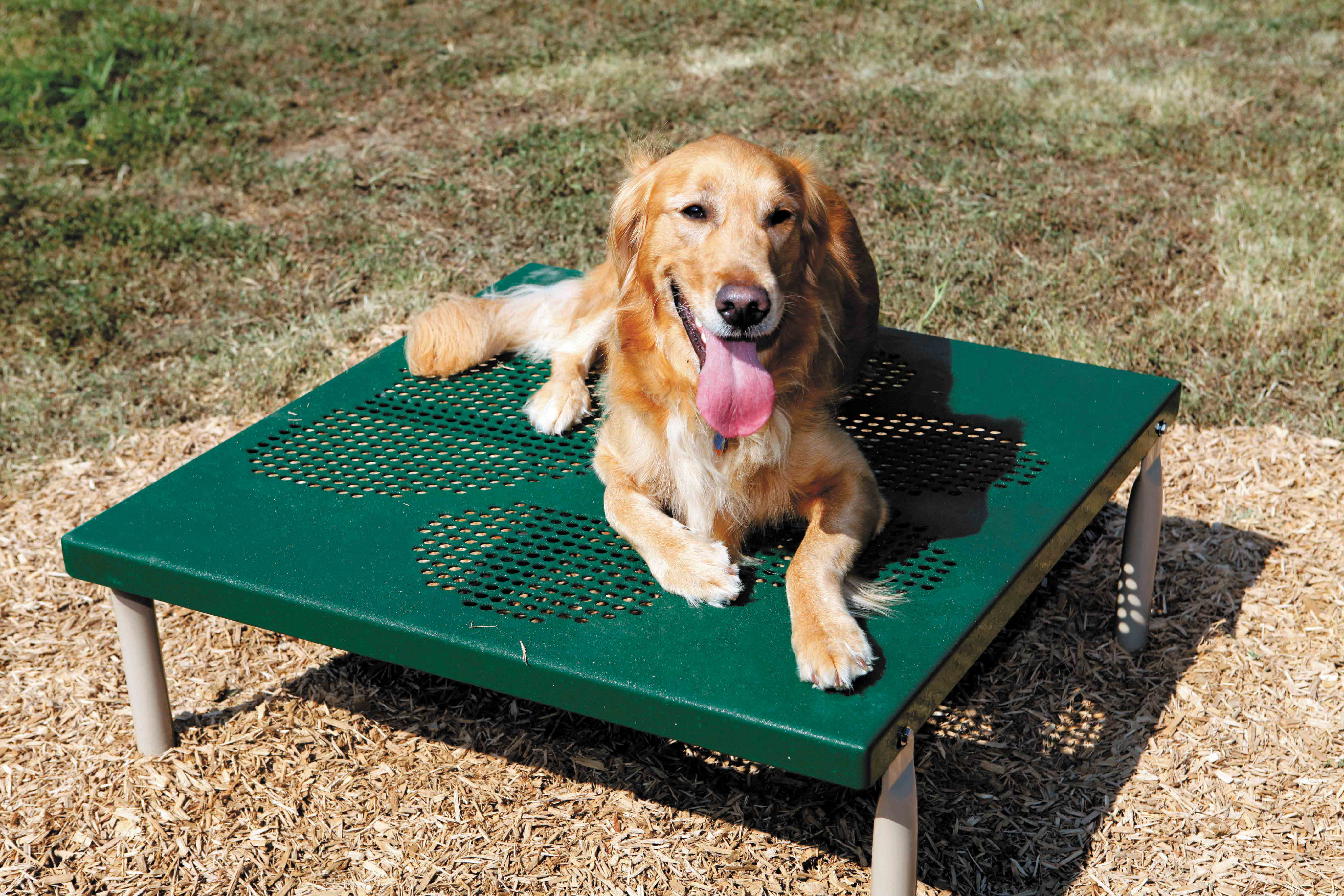 Tucker Murphy Pet™ Pollitt Paw Table | Wayfair
