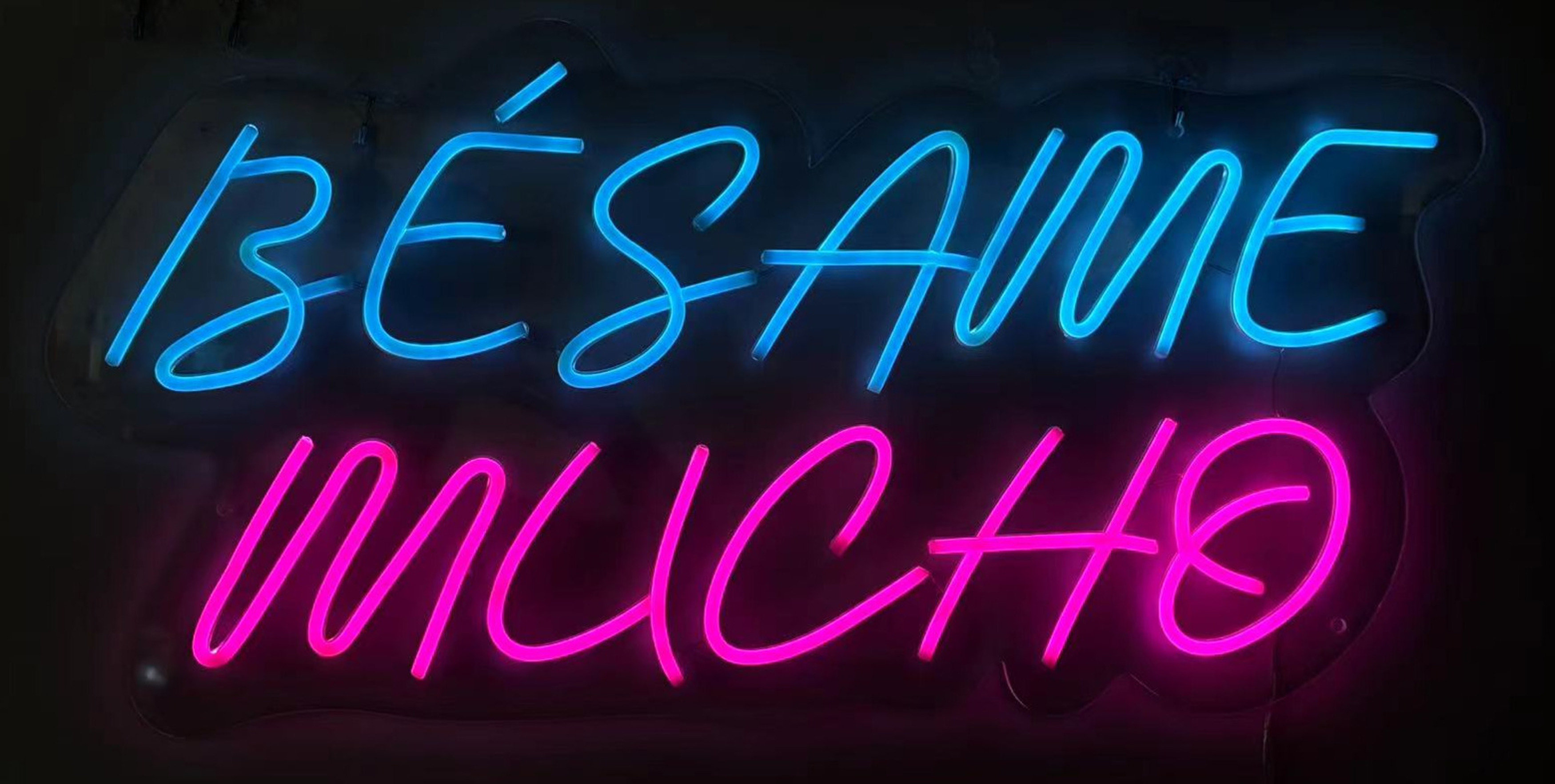 Ivy Bronx Bésame Mucho LED Neon Sign on Acrylic - 28" x 16" | Wayfair