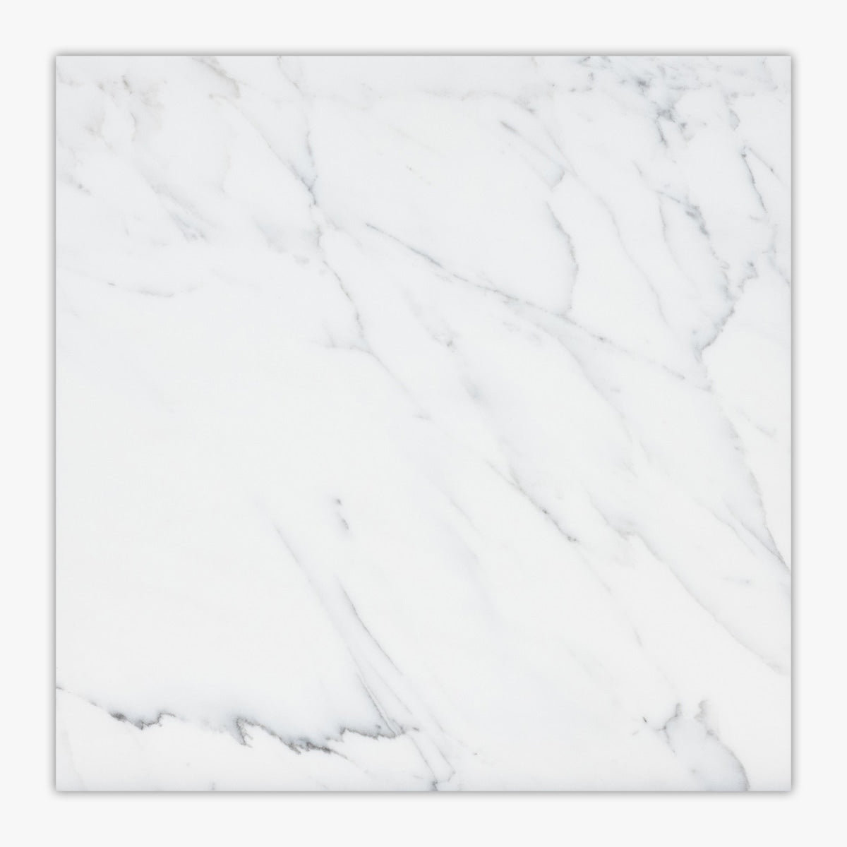 Calacatta Tile Statuary 24" x 24" Marble Look Wall & Floor Tile | Wayfair