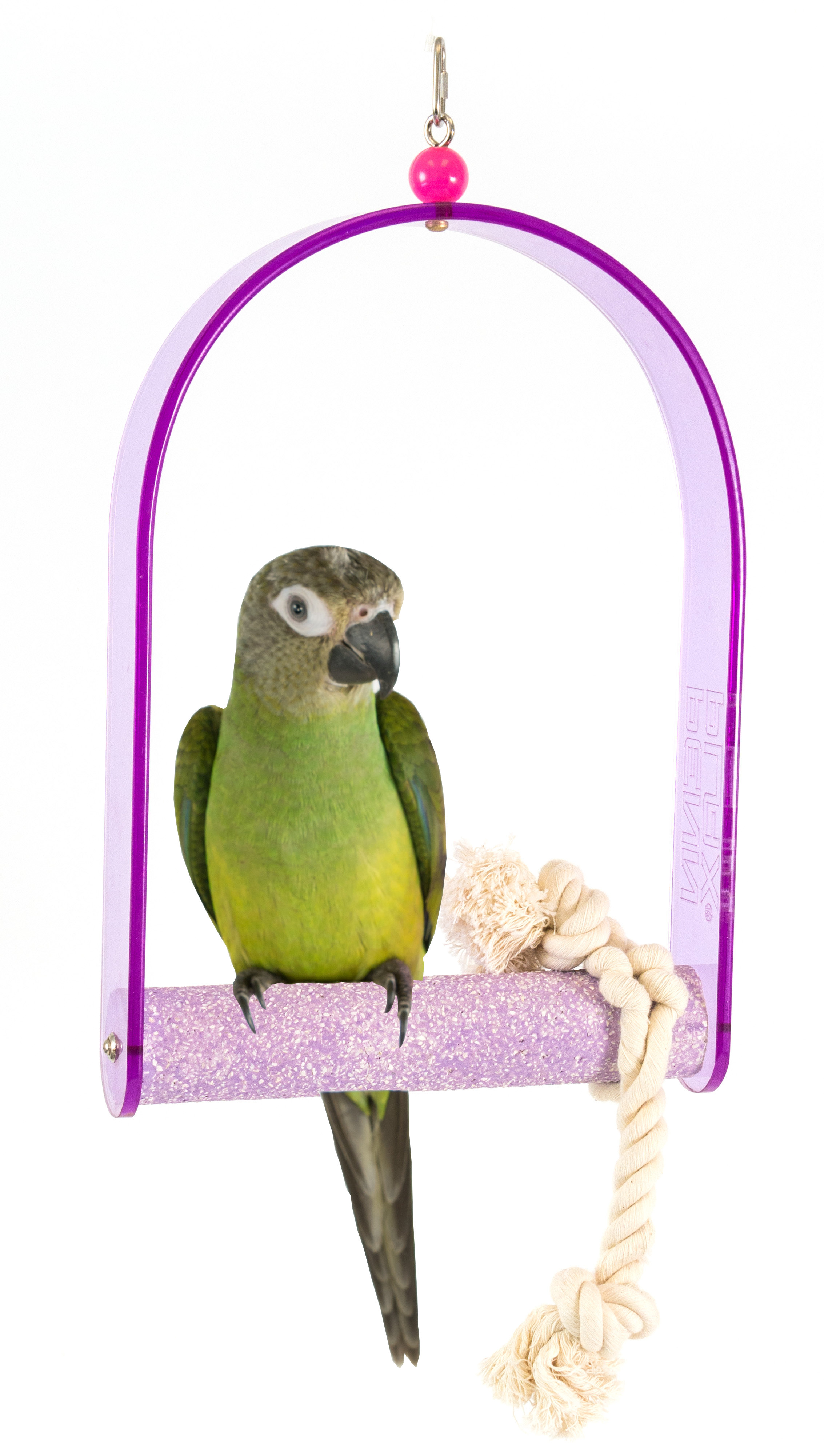Penn Plax 22" Bird-life Large Cement & Acrylic Perch Swing for Inside ...