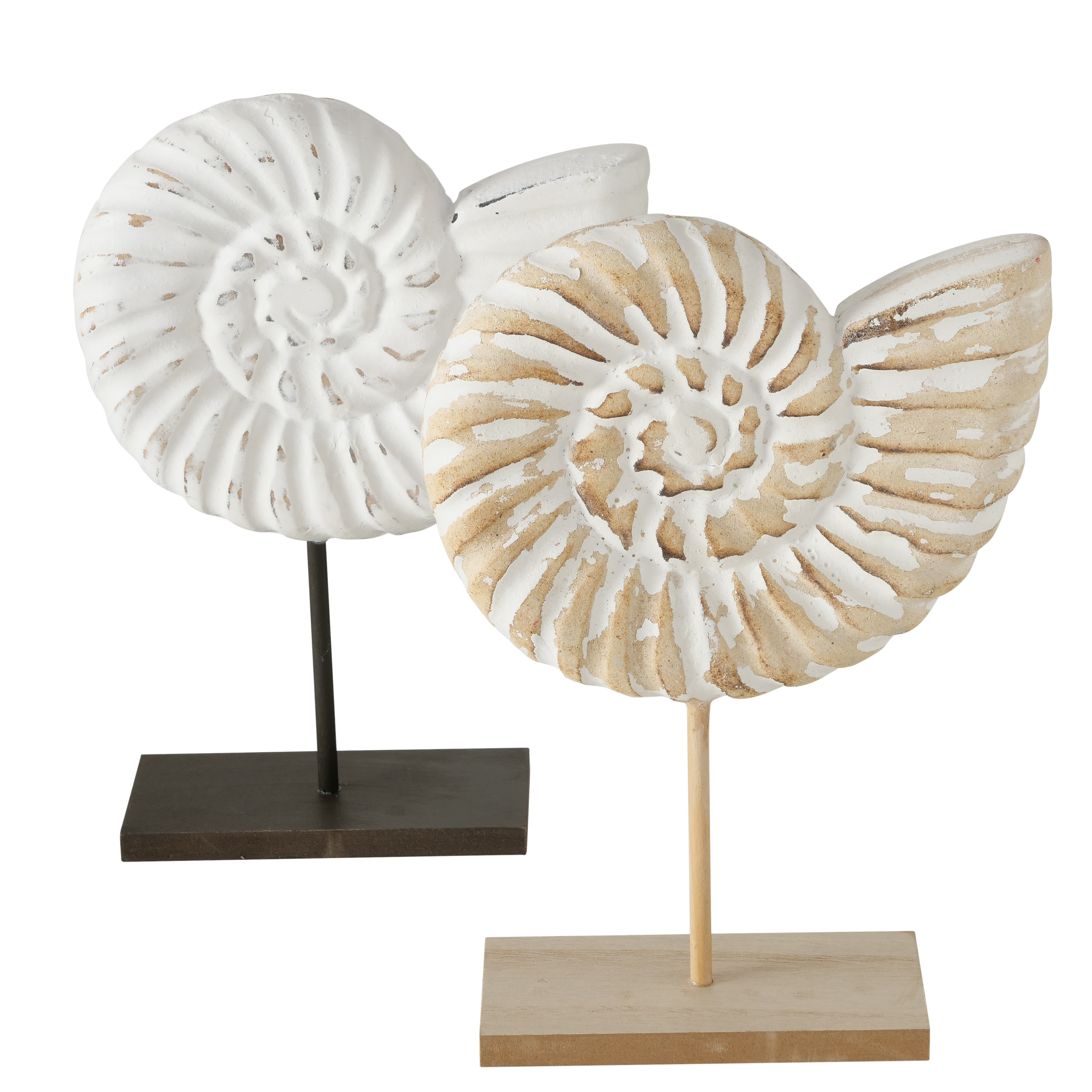 Dovecove Wadhurst Nautilus Shell Sculpture | Wayfair