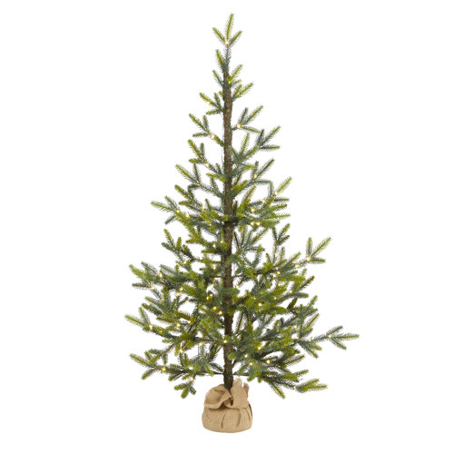 Christmas Trees You'll Love | Wayfair