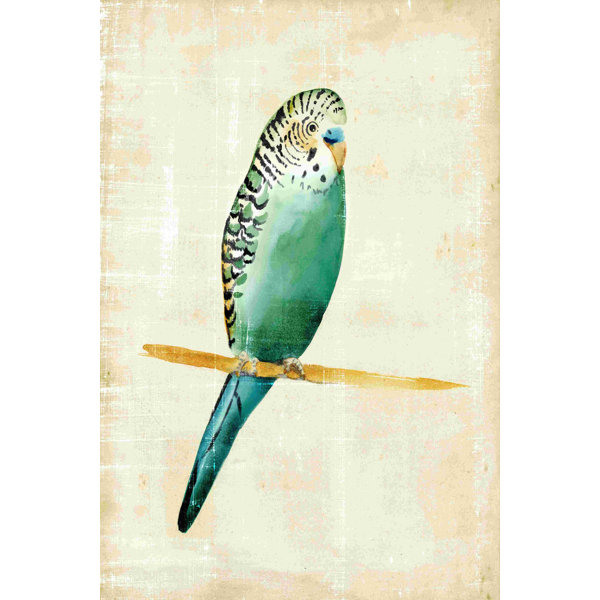 Bayou Breeze Fanciful Birds II On Canvas by Chariklia Zarris Painting ...