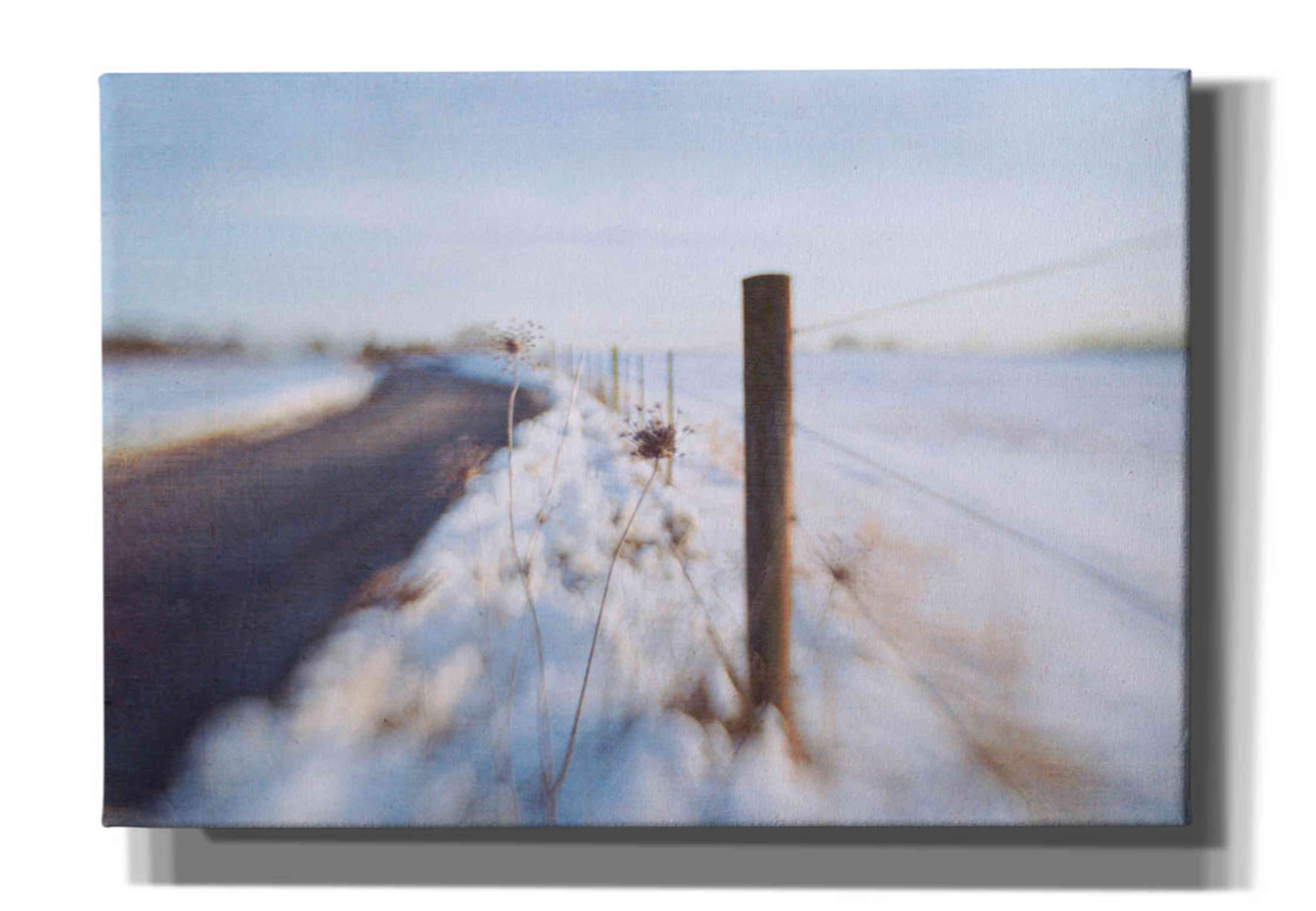 Red Barrel Studio Walking on the Edge of Winter by Dawn D Hanna ...