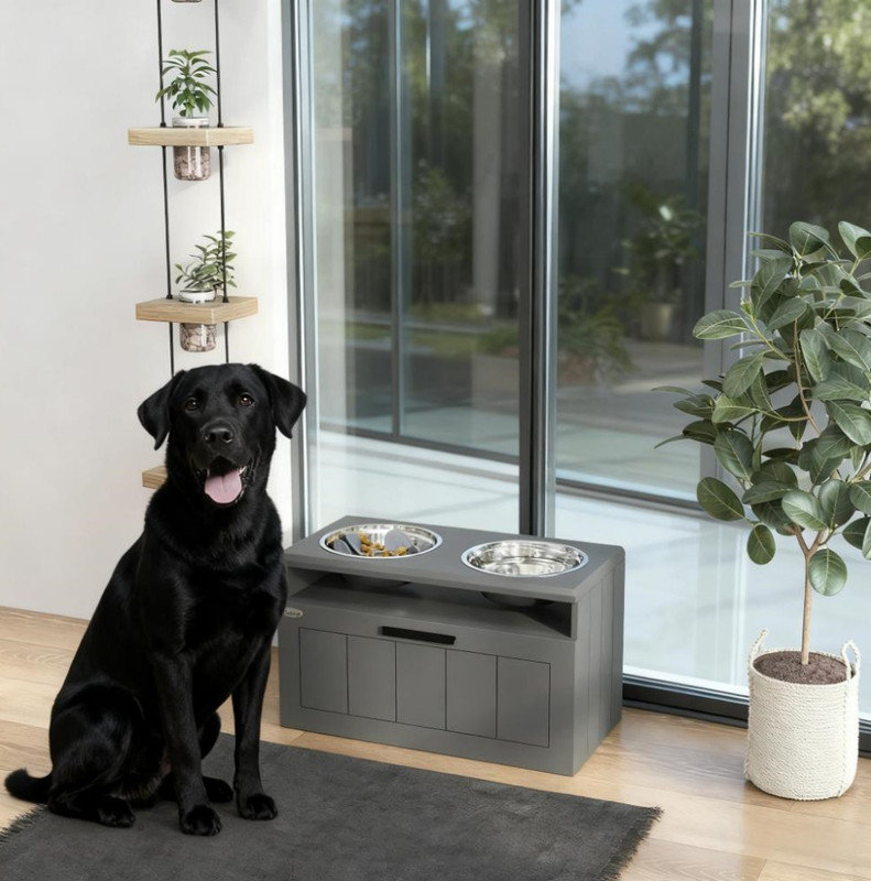 COFVIAL Elevated Dog Bowls with 2 Stainless Steel Bowls | Wayfair