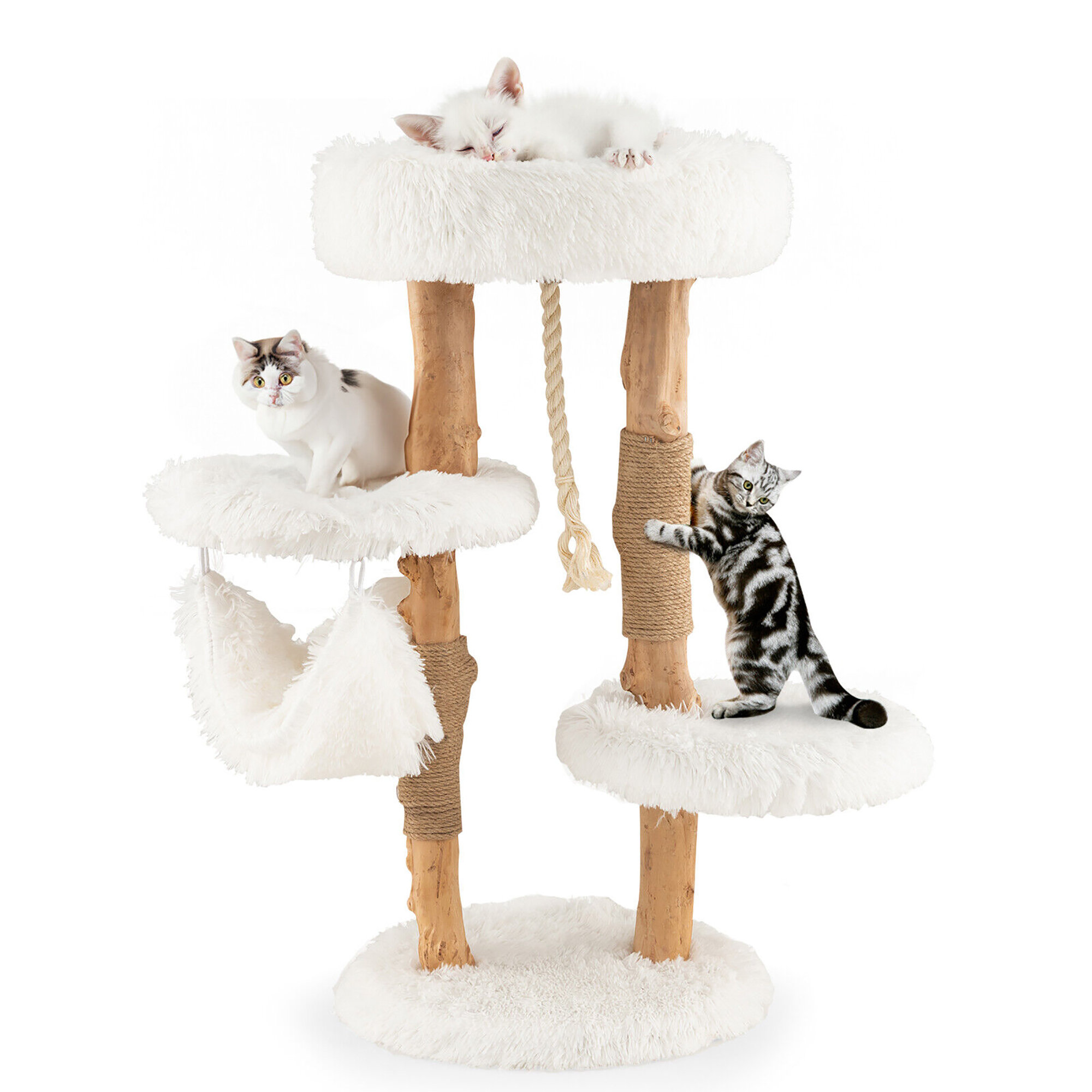 Tucker Murphy Pet™ 34" Duha Cat Tree & Reviews | Wayfair