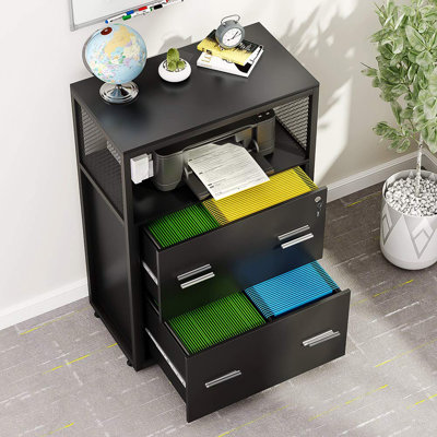 Inbox Zero 23.6'' Wide 2 -Drawer File Cabinet & Reviews | Wayfair