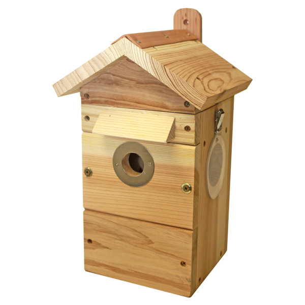 Callow Retail Cedar Bird Nest Box & Feeder with Colour Night Vision ...