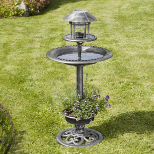 Extra Large (more than 90 cm) Bird Baths You'll Love | Wayfair.co.uk