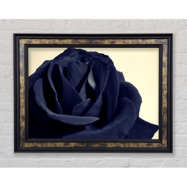 Bright Star Black Blue Rose - Single Picture Frame Print | Wayfair.co.uk