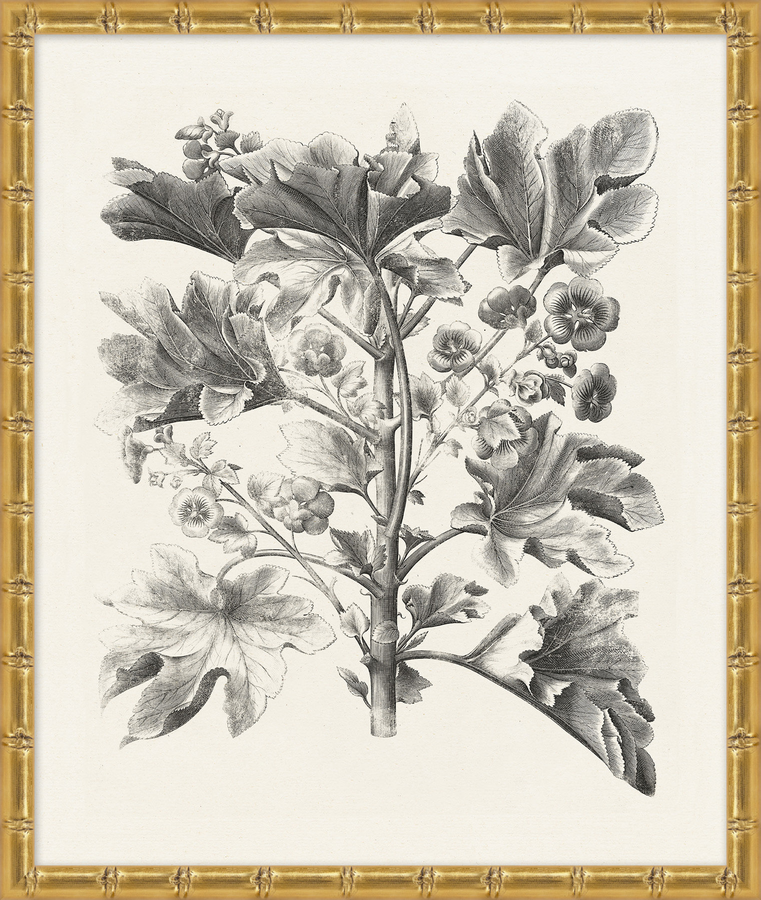 Lillian August Bessler Study Neutral 8' Framed Graphic Art Print on ...