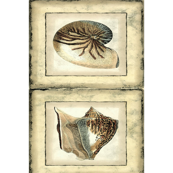 Highland Dunes Mini Rustic Shell Panel II - Wrapped Canvas Art Prints ...
