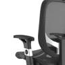 Staples Hyken Ergonomic Mesh Swivel Task Chair, Black (UN59460) | Wayfair